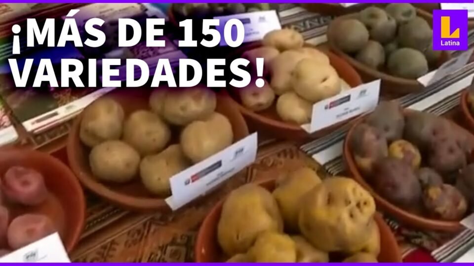 Cómo Preparar la Auténtica Receta Peruana de Inca Kola en Casa ...